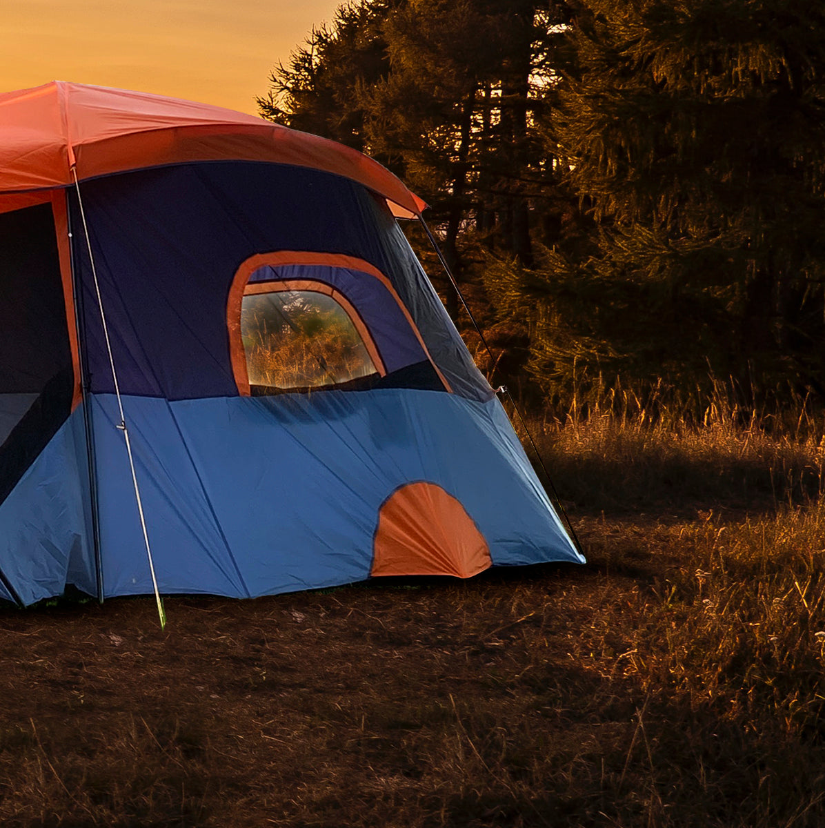 ALL DISCOVERY – Discovery Store Chile